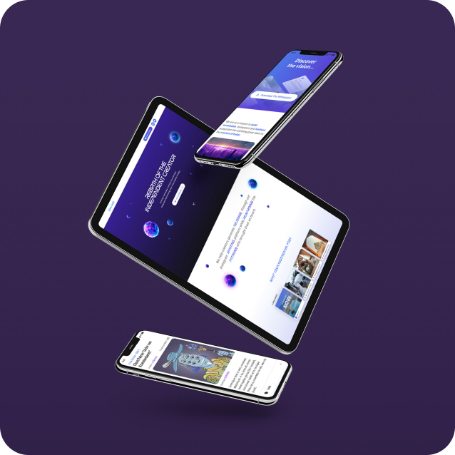 Til Starc - UI/UX Designer